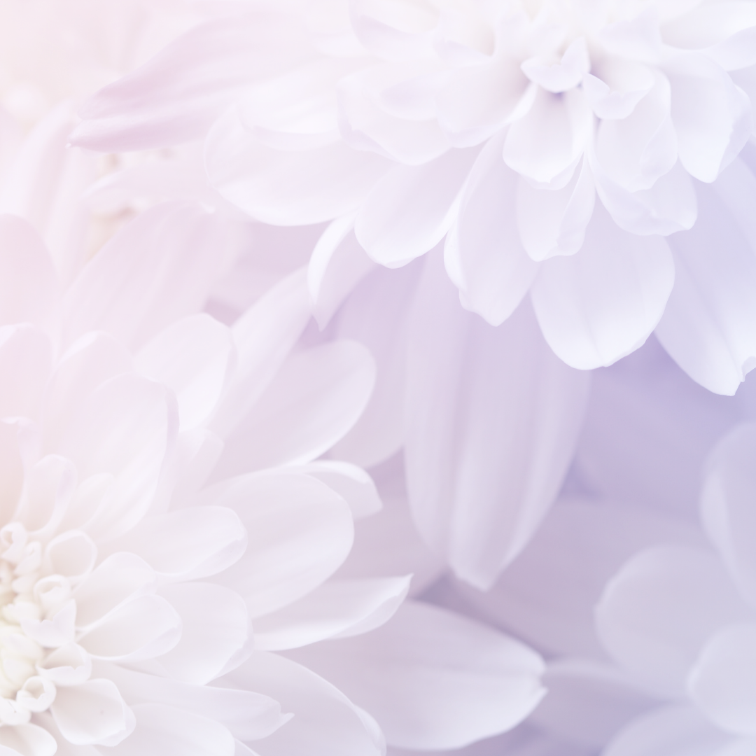 Lorem Ipsum - Ashes 2 Ashes